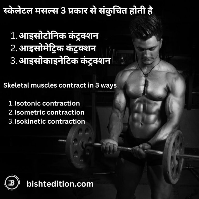 Types Of Muscles Contraction