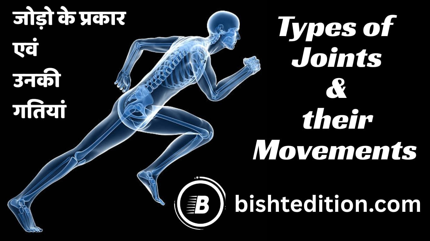 Types Of Joints And Their Movements - Bishtedition.com