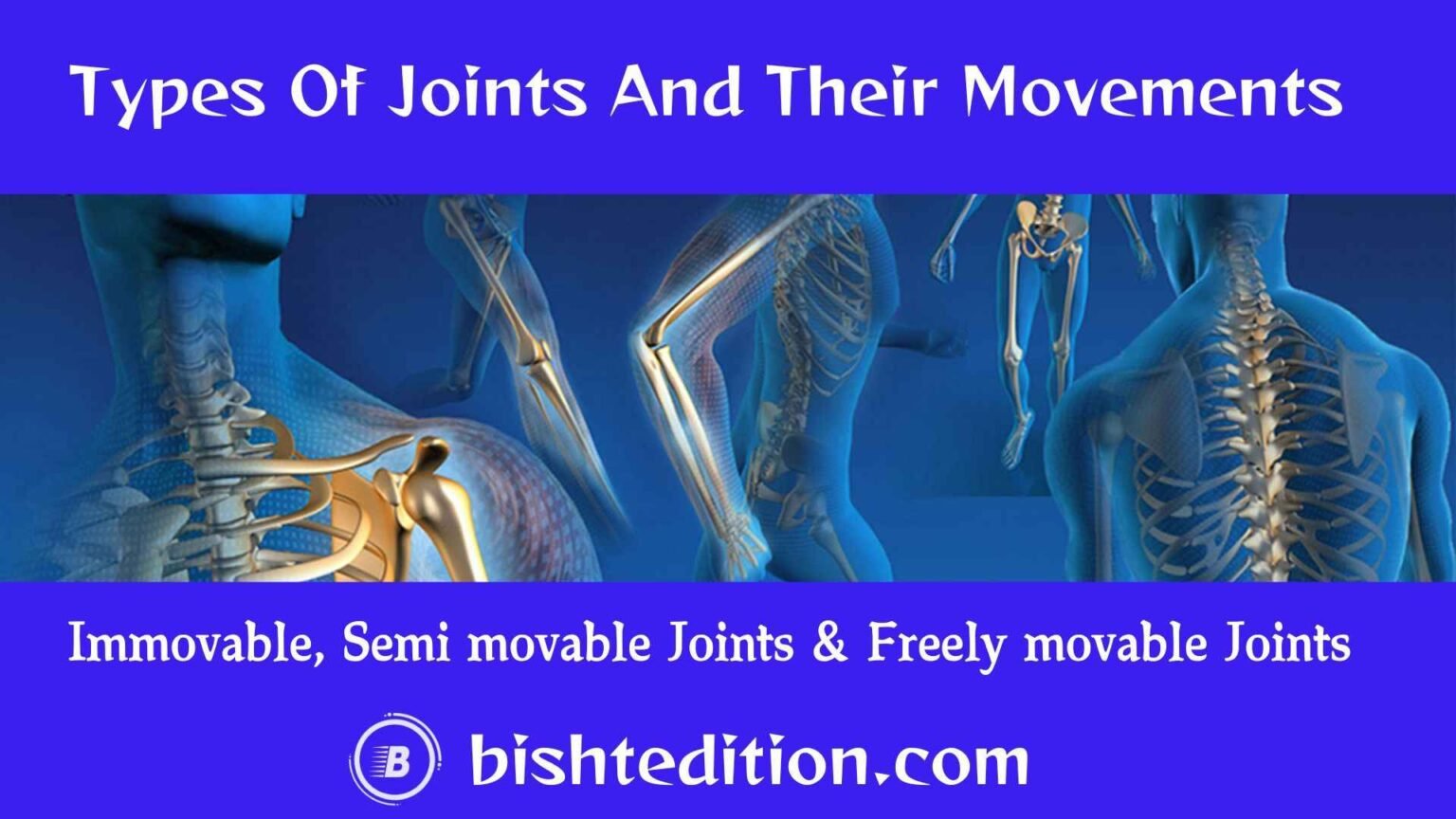 Types Of Joints And Their Movements